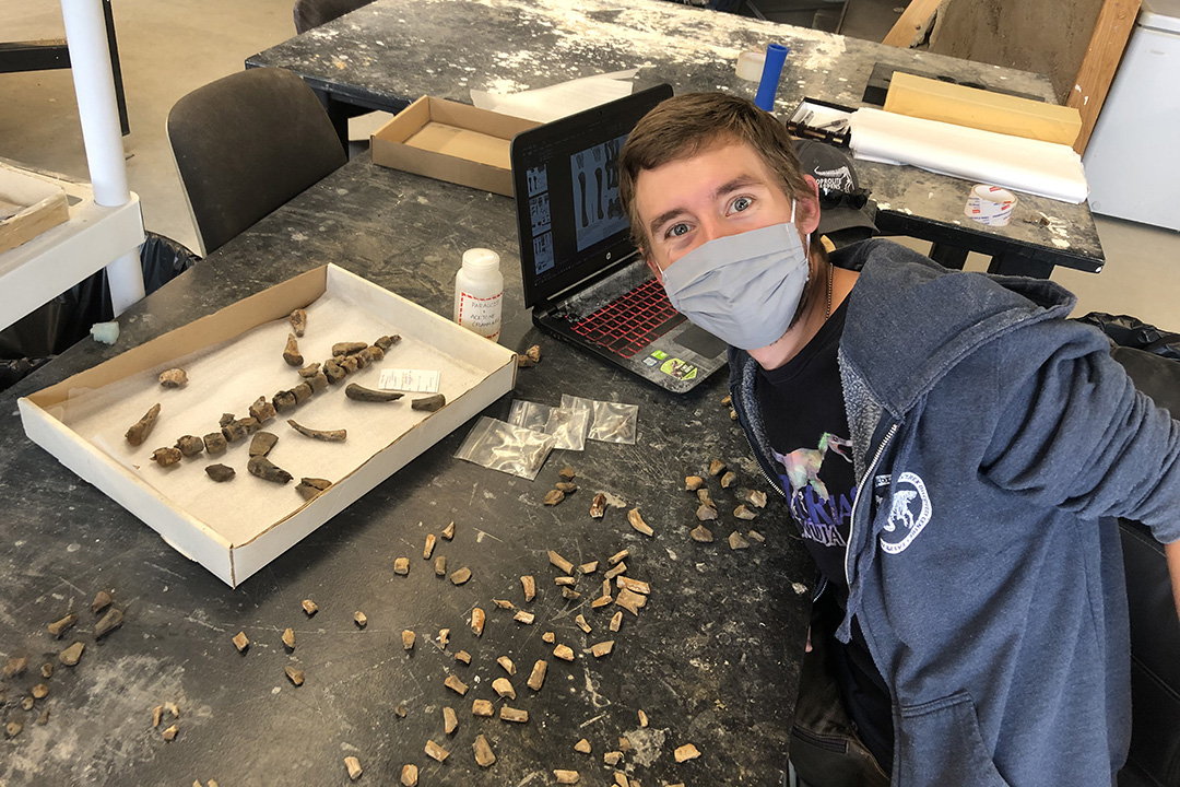 Associated Champsosaur skeleton in Southwest Saskatchewan discovered by ...