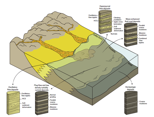 Modern animal life could have arisen in a storm-dominated deltaic ...