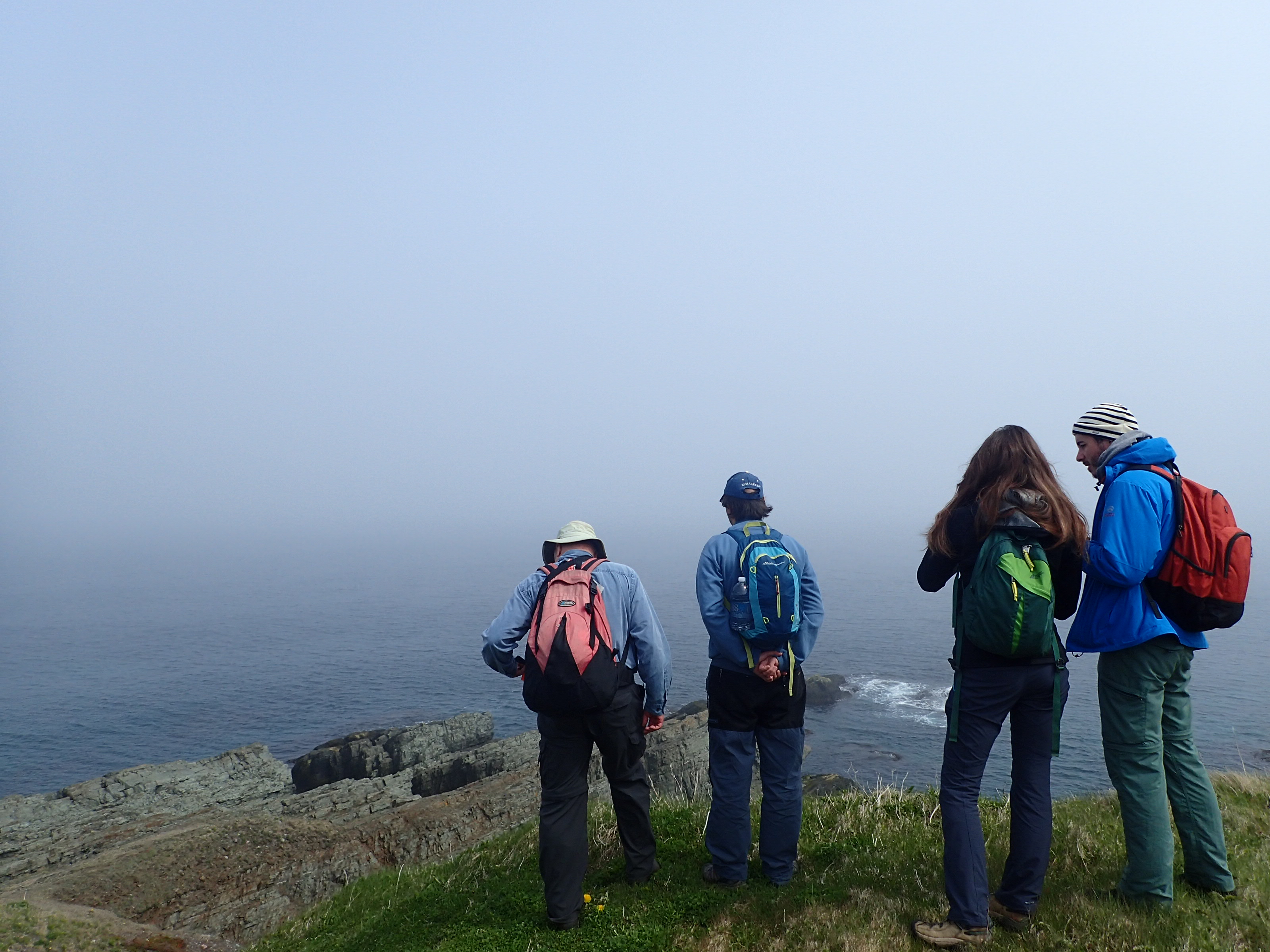 Ichnology of the Ediacaran–Cambrian Chapel Island Formation of ...