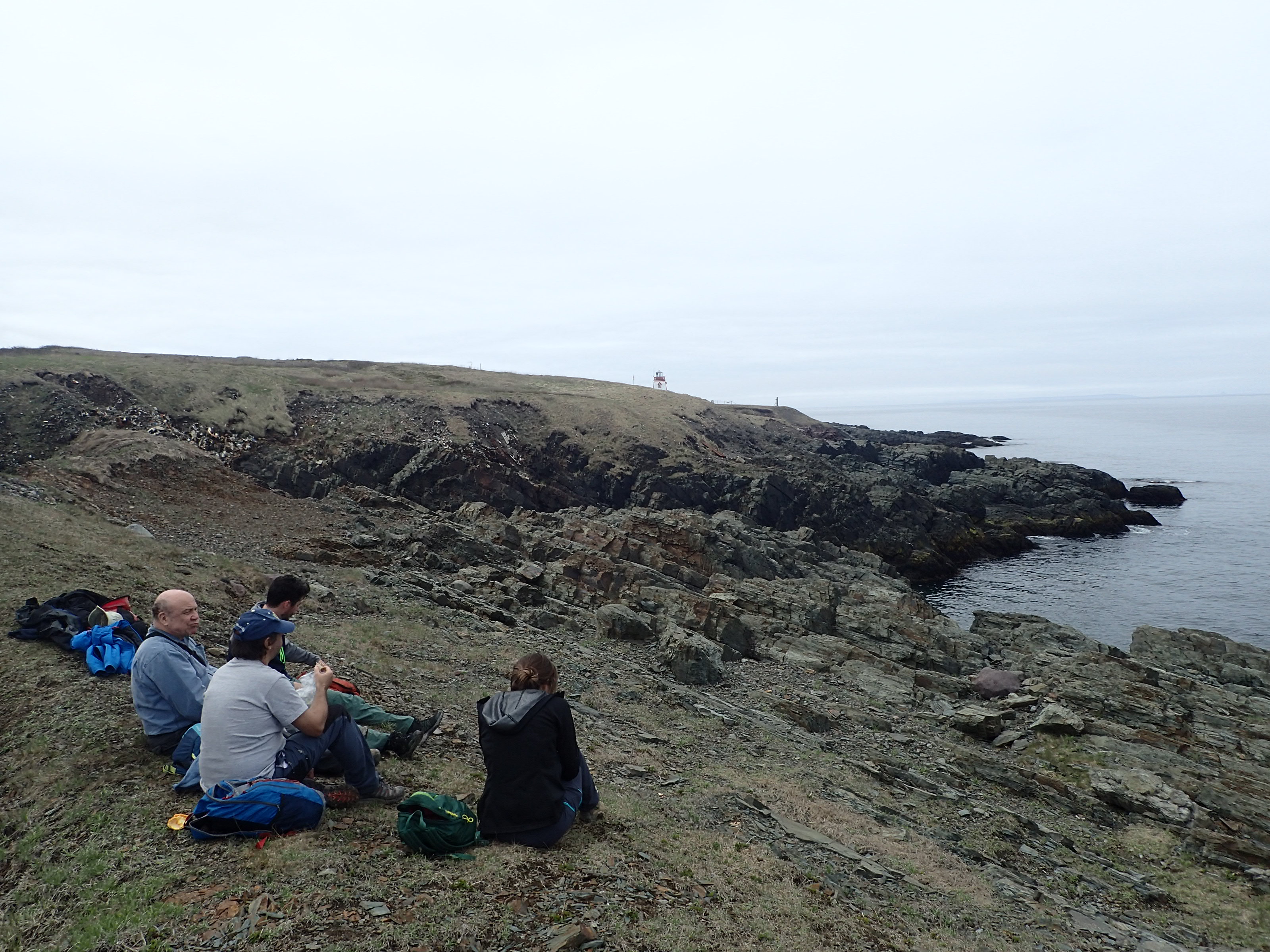 Ichnology of the Ediacaran–Cambrian Chapel Island Formation of ...